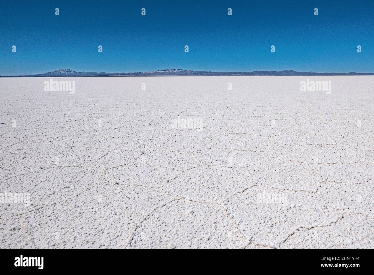The Isla Incahuasi at the Salar de Uyuni Stock Photo - Alamy