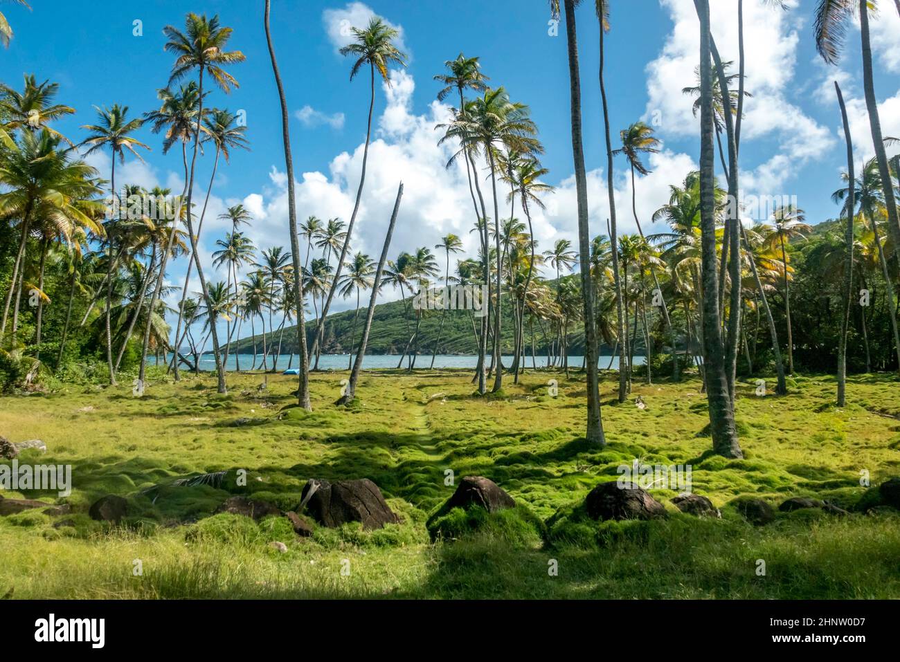 Bequia beach resort hi-res stock photography and images - Alamy