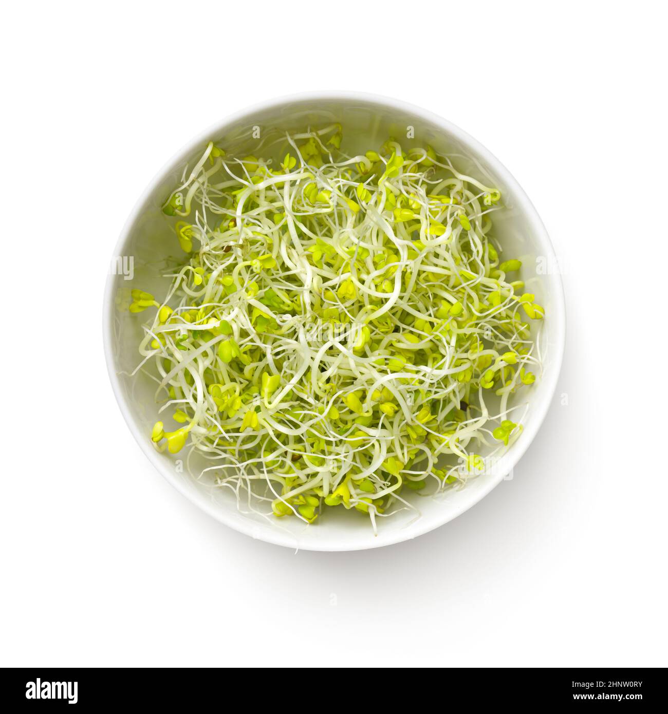 Fresh broccoli sprouts in white bowl isolated on white background. View ...