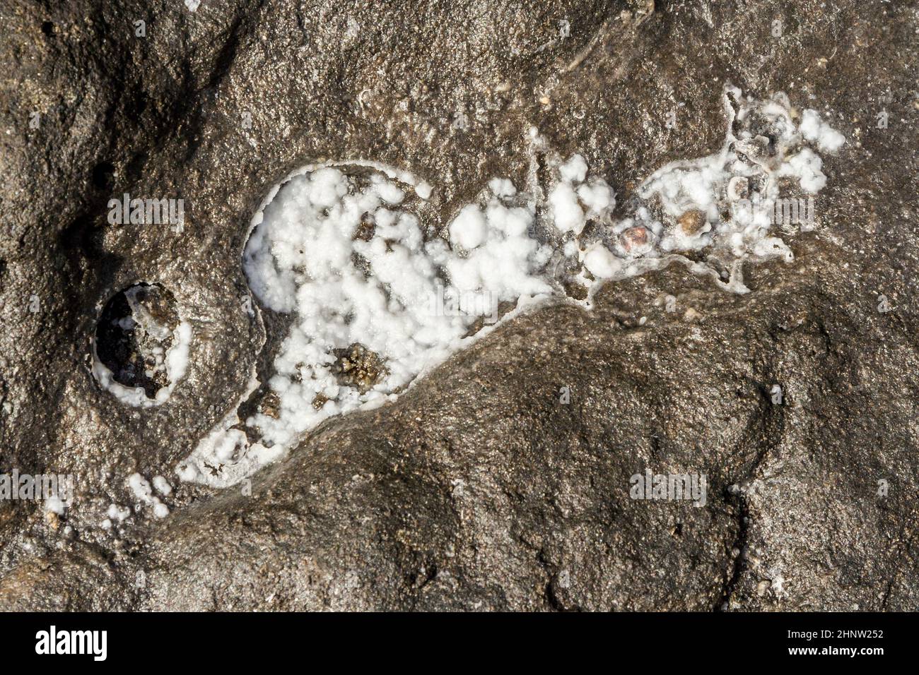 dried sea salt at a black rock Stock Photo - Alamy