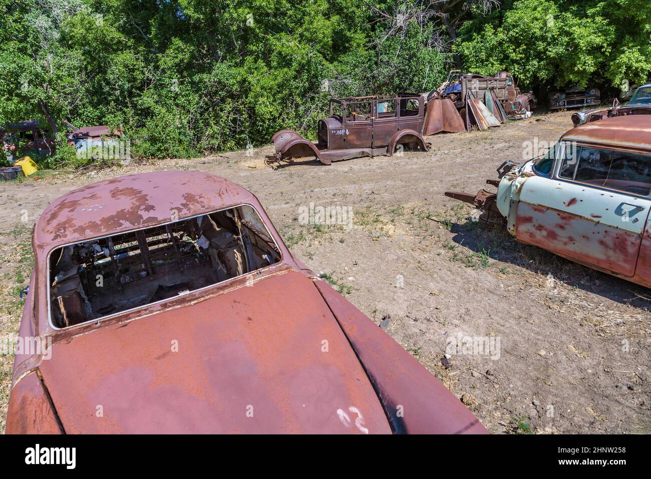junk yard with old beautiful oldtimers on the route 89 Stock Photo - Alamy