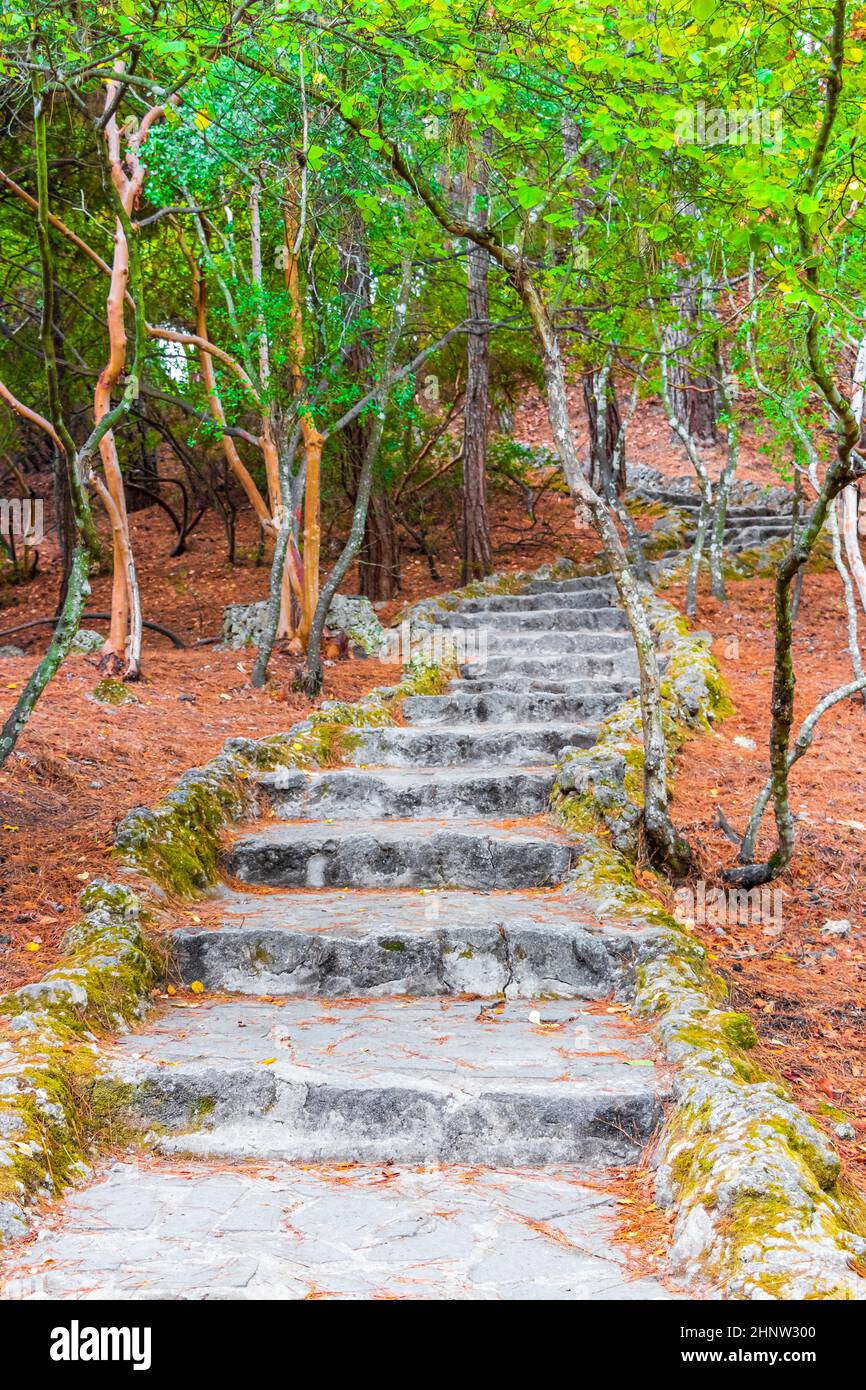 Stone stairs walking trekking path way and route in the beautiful ...