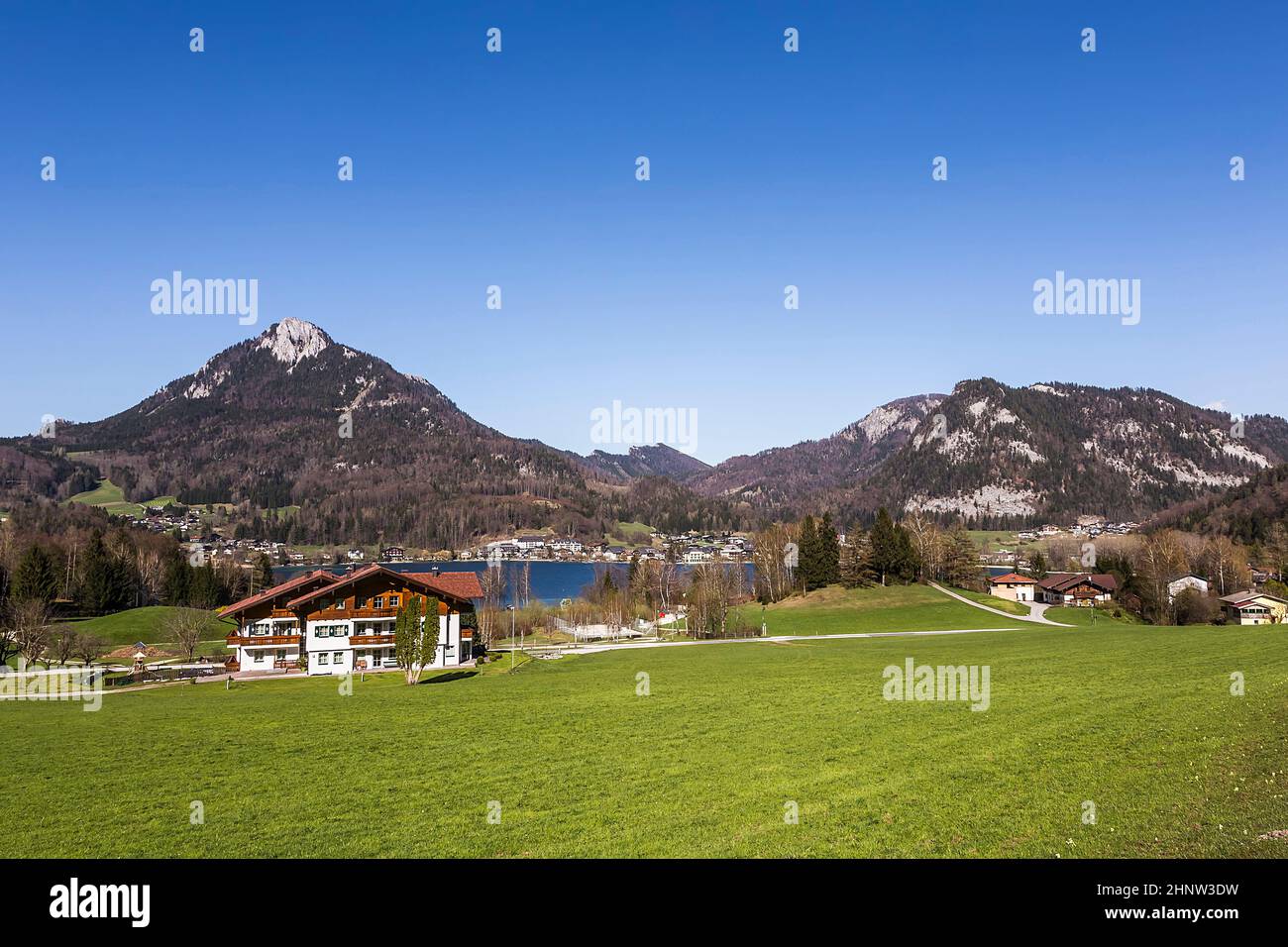 Lake Fuschl with beautiful alps panorama and green meadow Stock Photo ...