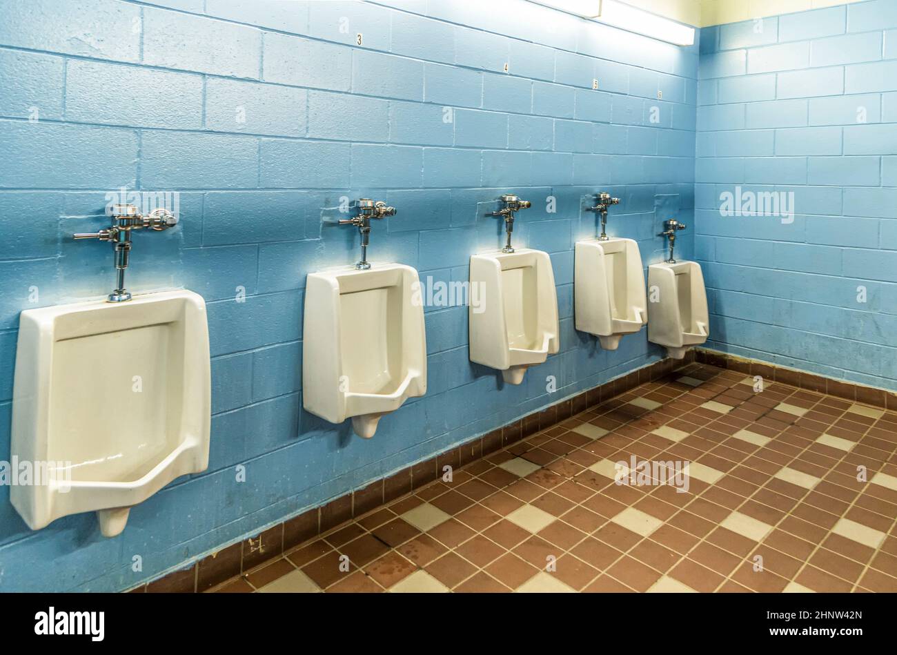 vintage retro pee basin for men in white with blue tiles Stock Photo ...