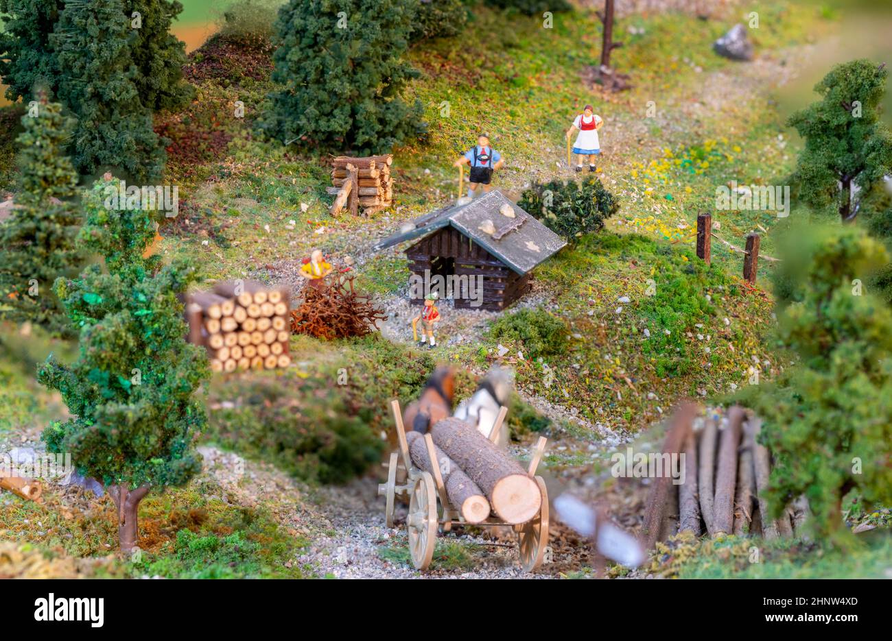 people walking in the mountains with rural workers transporting trees ...