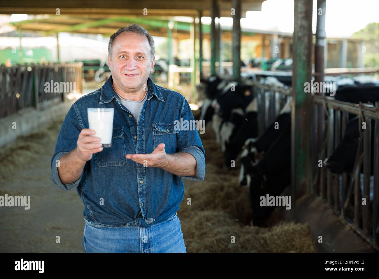 Male farm owner with milk on dairy farm Stock Photo - Alamy