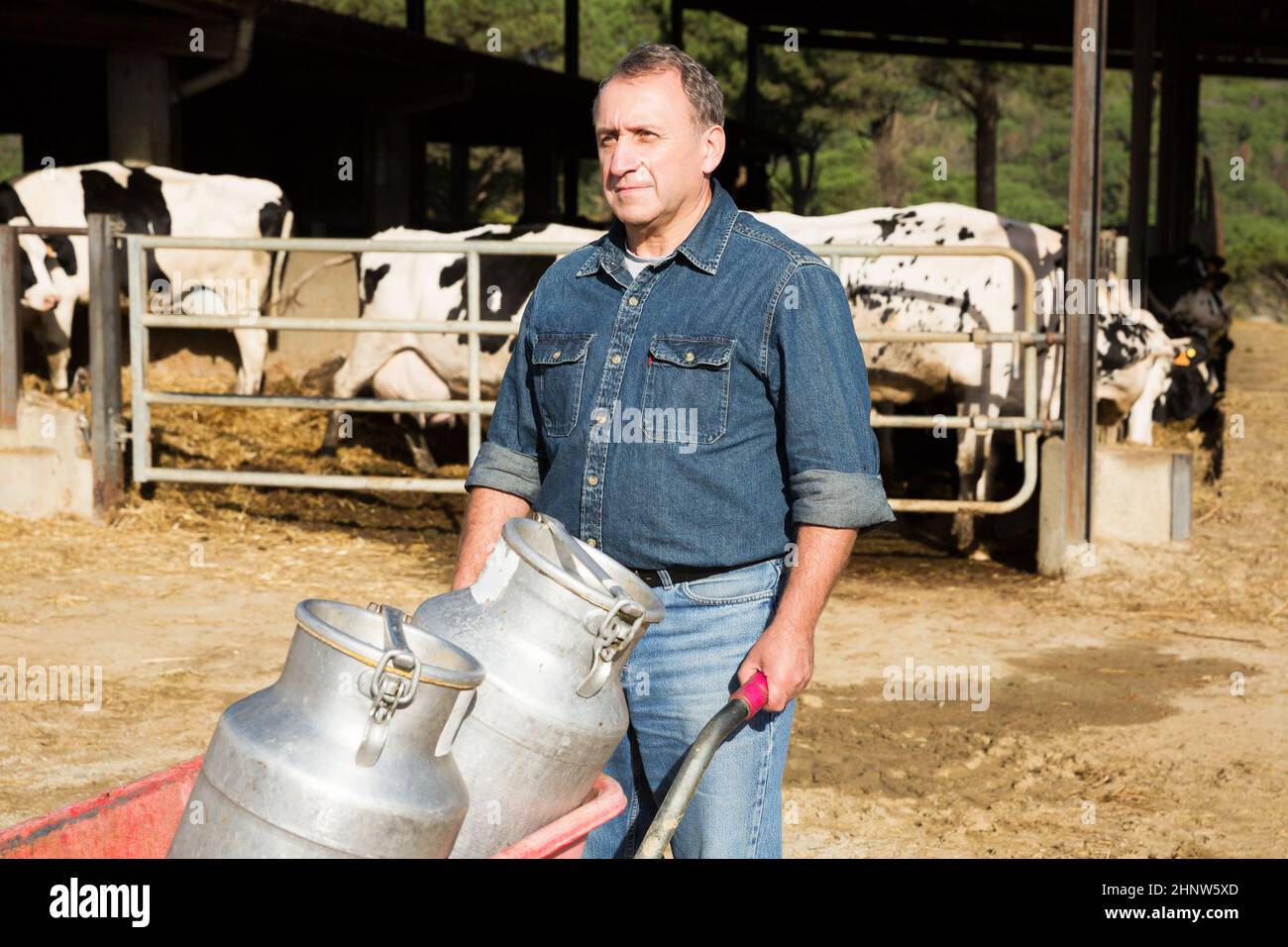 Carrying milk cans hi-res stock photography and images - Alamy