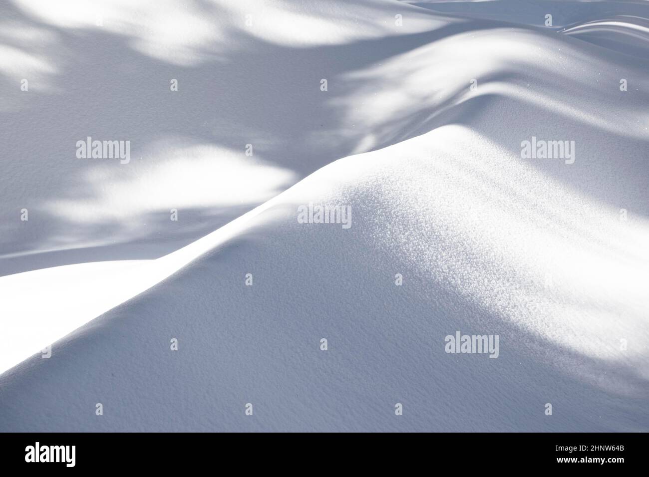 pattern of snow in the Sequoia national park with soft curves Stock ...