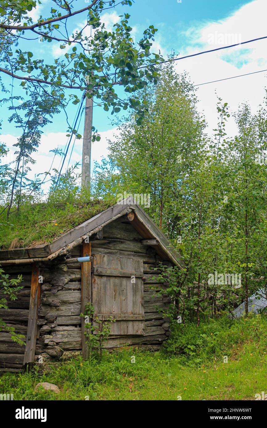 Old wooden cabin hut with overgrown roof in Hemsedal, Norway Stock ...