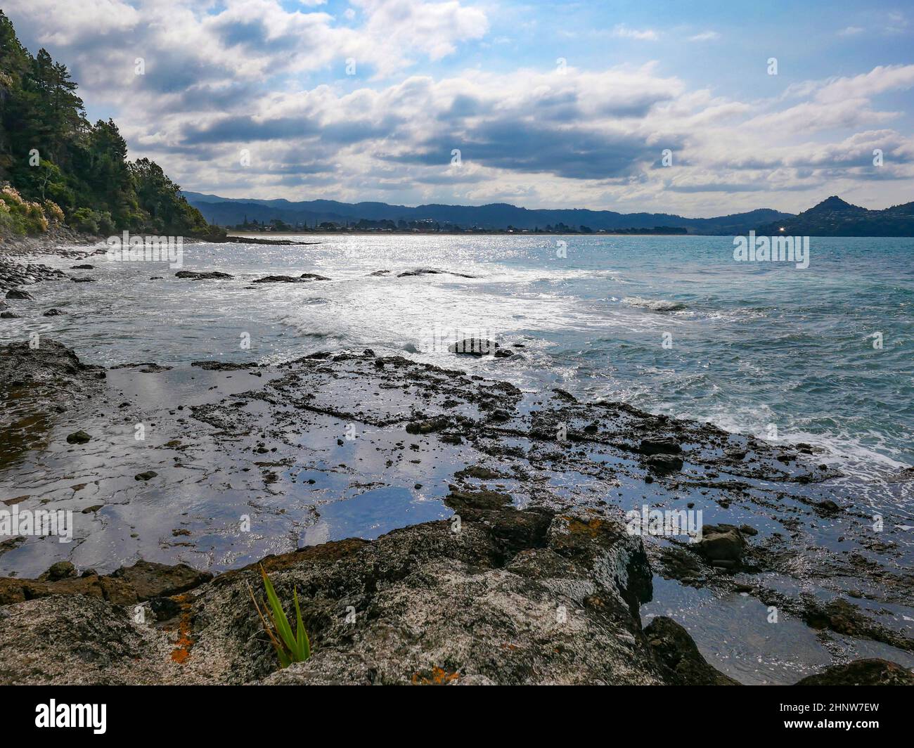 scenic Pauanui loop walk at the New Zealand coast Stock Photo - Alamy