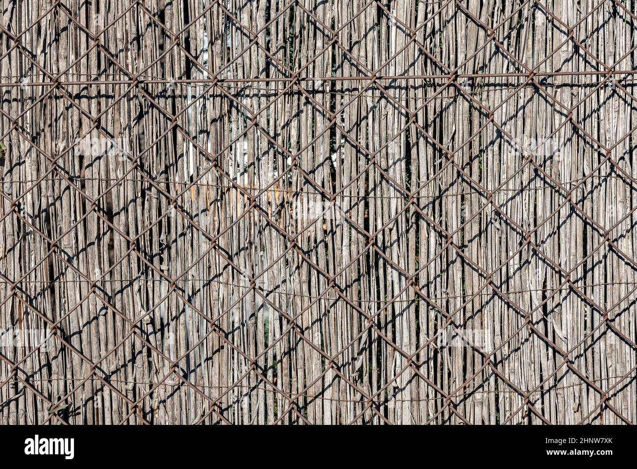 old metal fence background with bamboo privacy protection Stock Photo ...