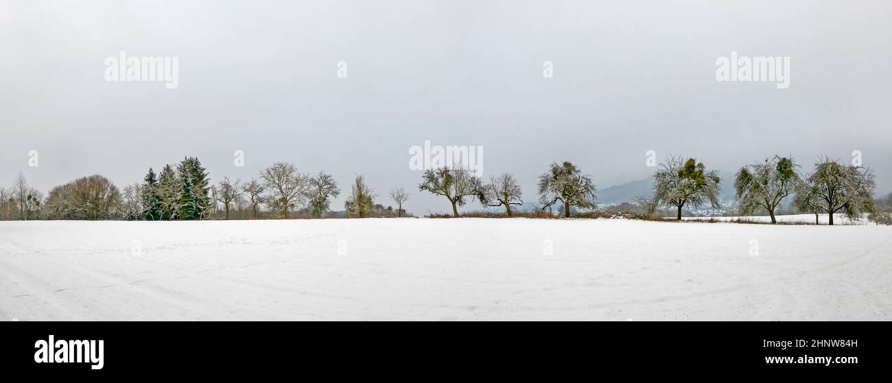 winter landscape in the Taunus area in Germany Stock Photo - Alamy