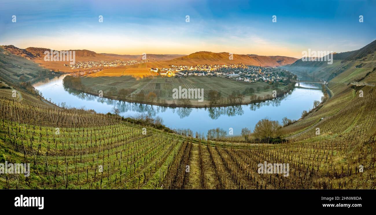 scenic moselle river loop with village Trittenheim seen from Leiwen ...