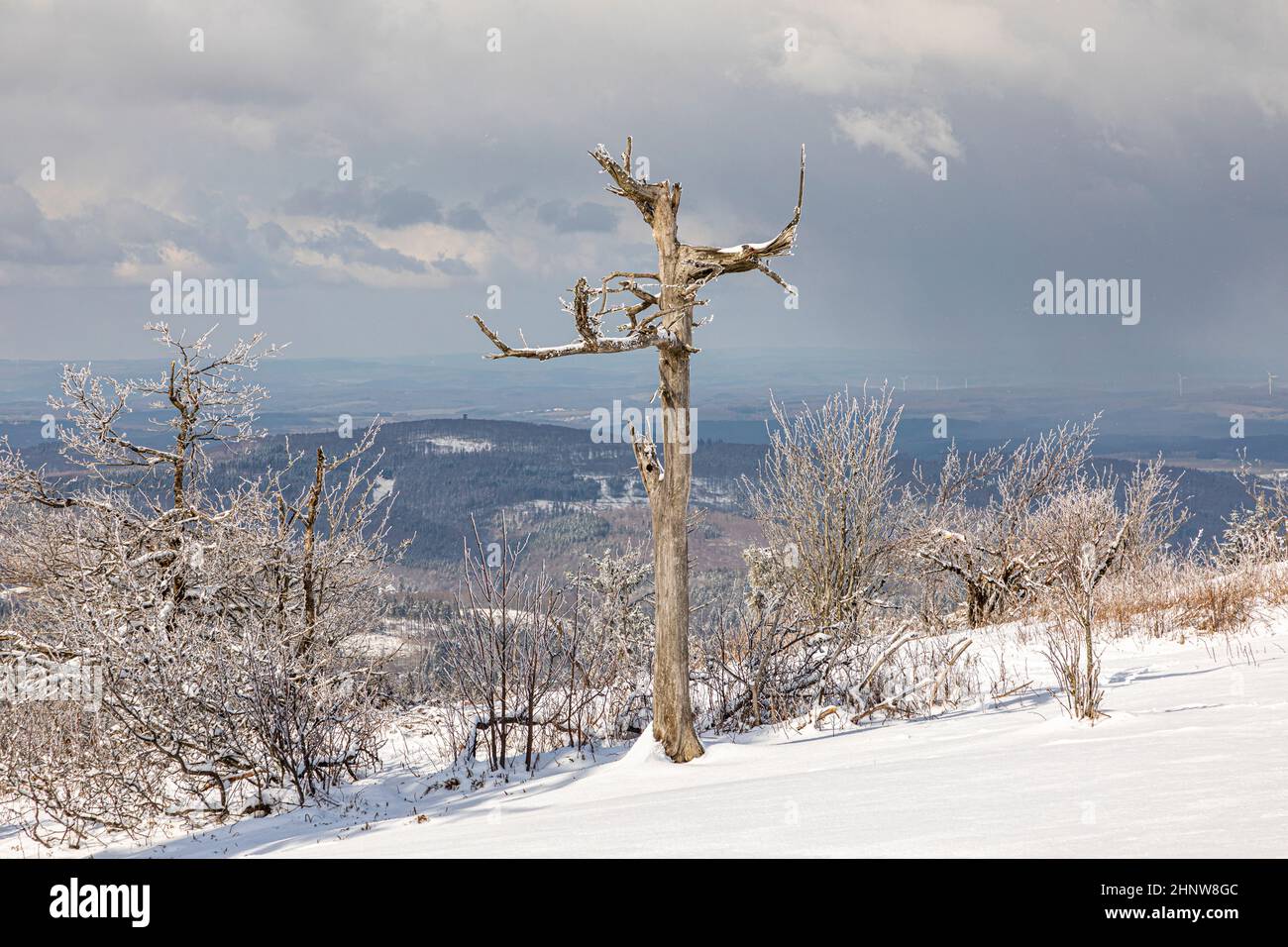 snow landscape in wintertime at the mountain Feldberg in Hesse Stock ...