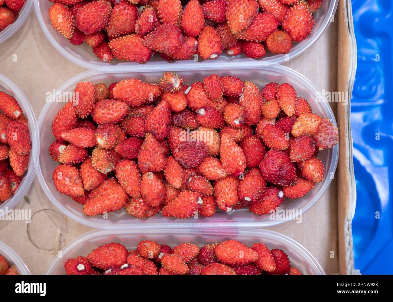 red small wild strawberries offered at the food market on open air ...