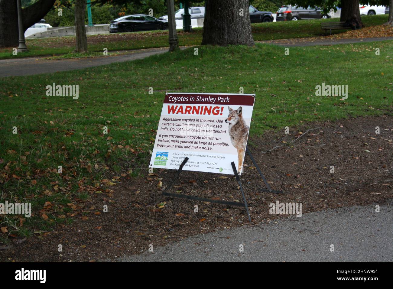 Warning sign about wild coyotes in Stanley Park, Canada Stock Photo - Alamy