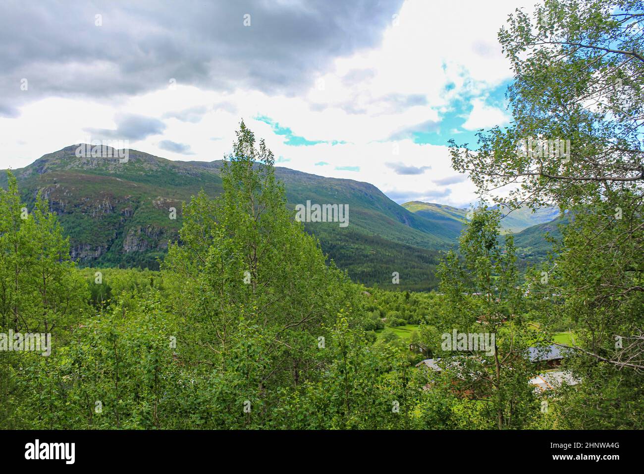 Beautiful Norwegian landscape with trees firs mountains and rocks ...