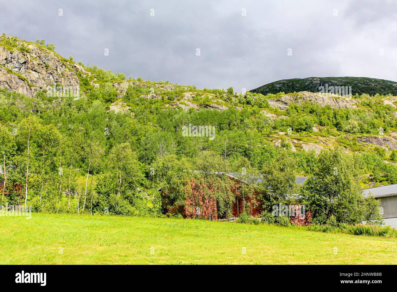 Beautiful Norwegian landscape with trees firs mountains and rocks ...