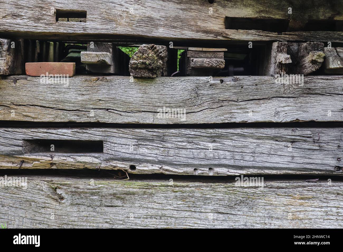 Close up view on different wood surfaces showing planks logs and wooden ...