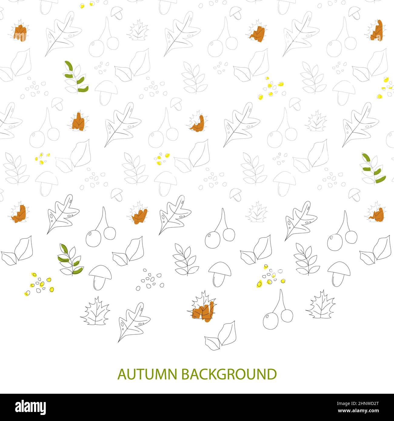 Autumn leaves set isolated on white background - Vector illustration ...