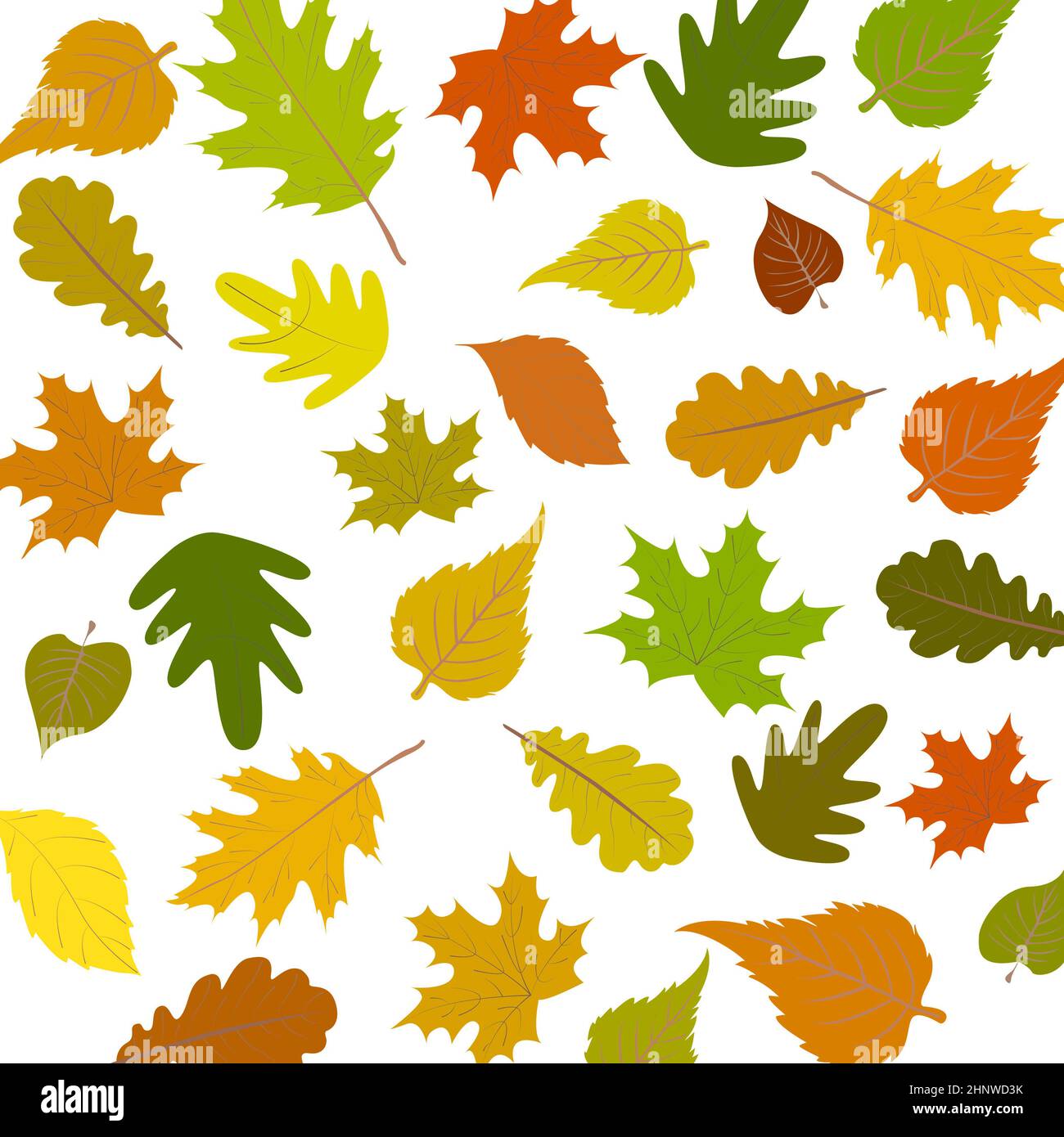 Autumn leaves set isolated on white background - Vector illustration ...