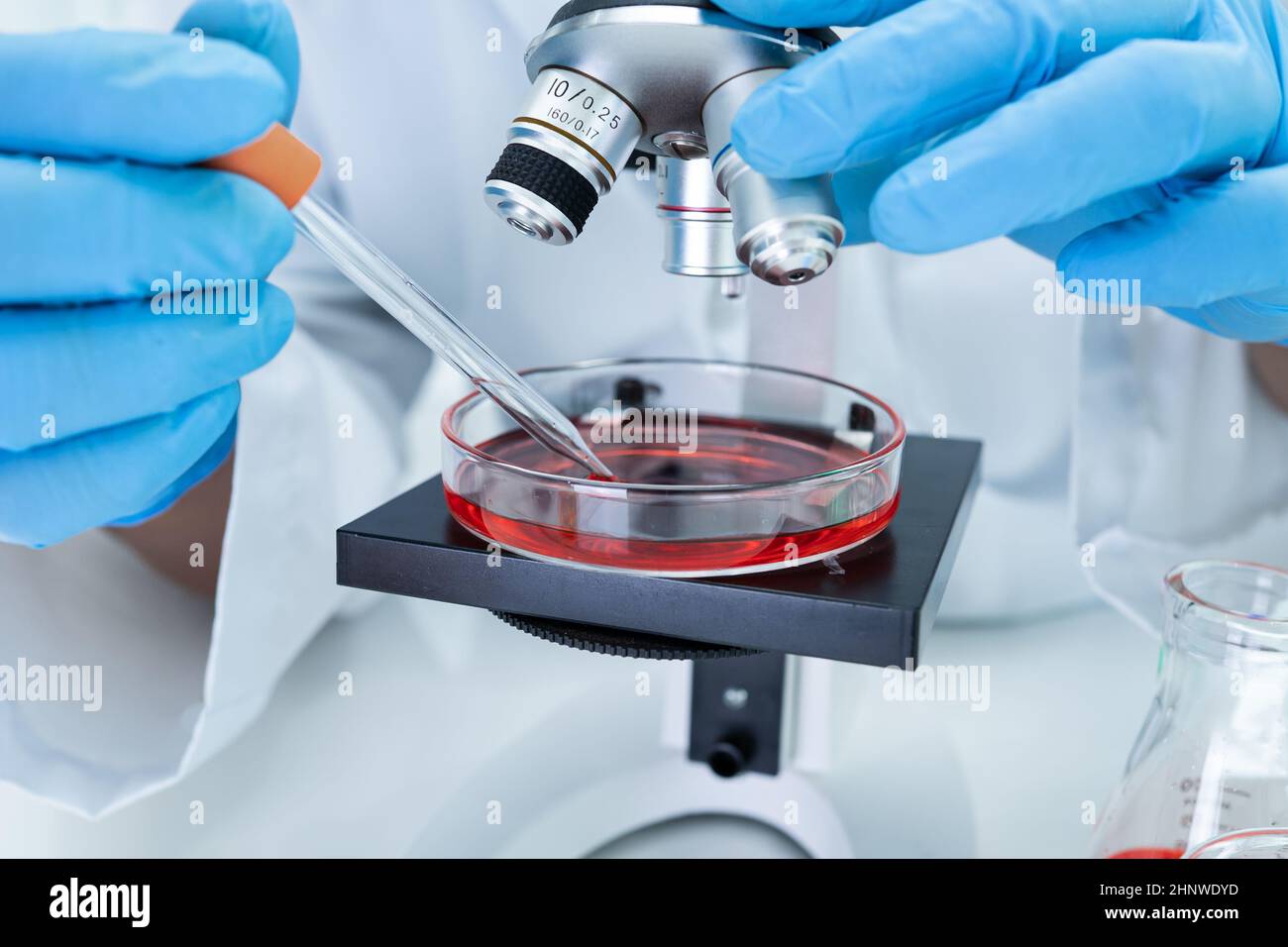 Asian scientist biochemist or microbiologist working research with a ...