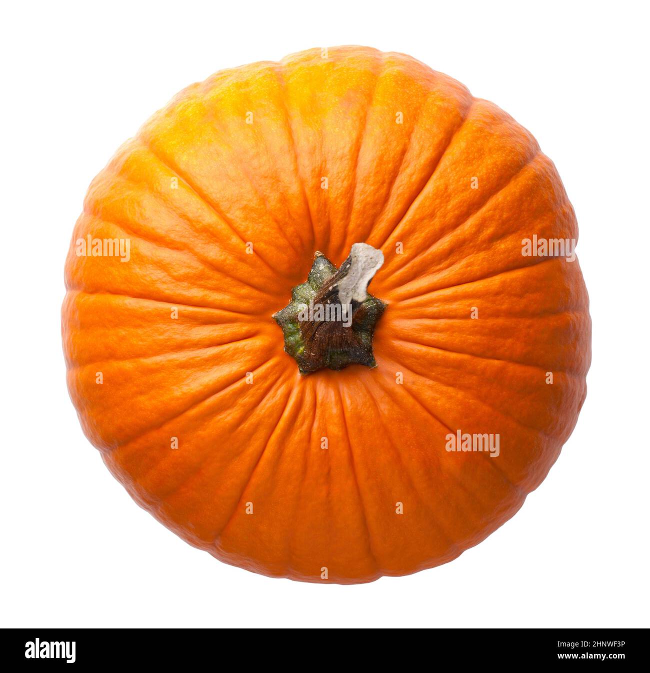 Pumpkin isolated on white background. View from above Stock Photo - Alamy