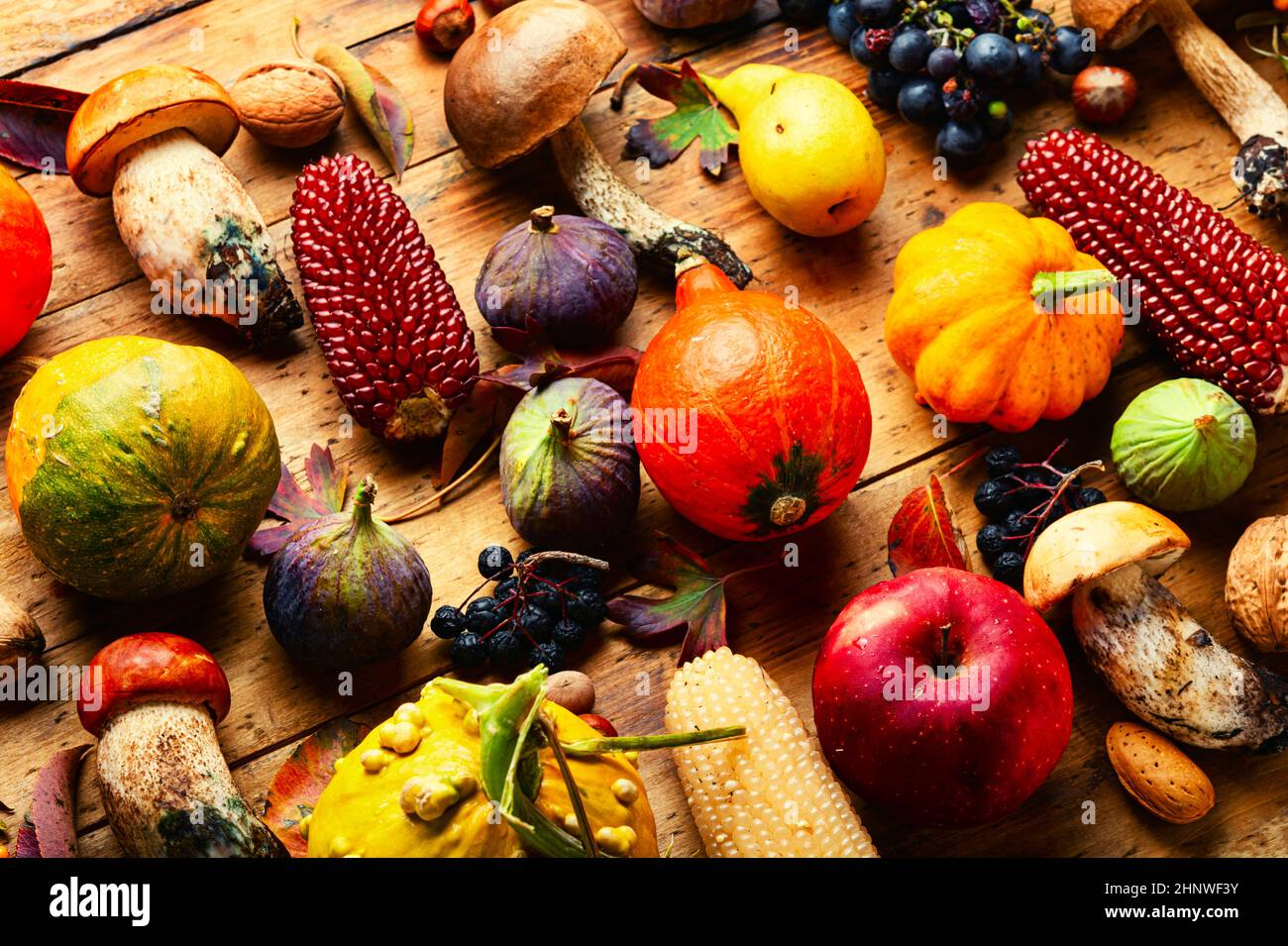 Set of autumn fruits,vegetables and berries.Autumn nature concept Stock ...