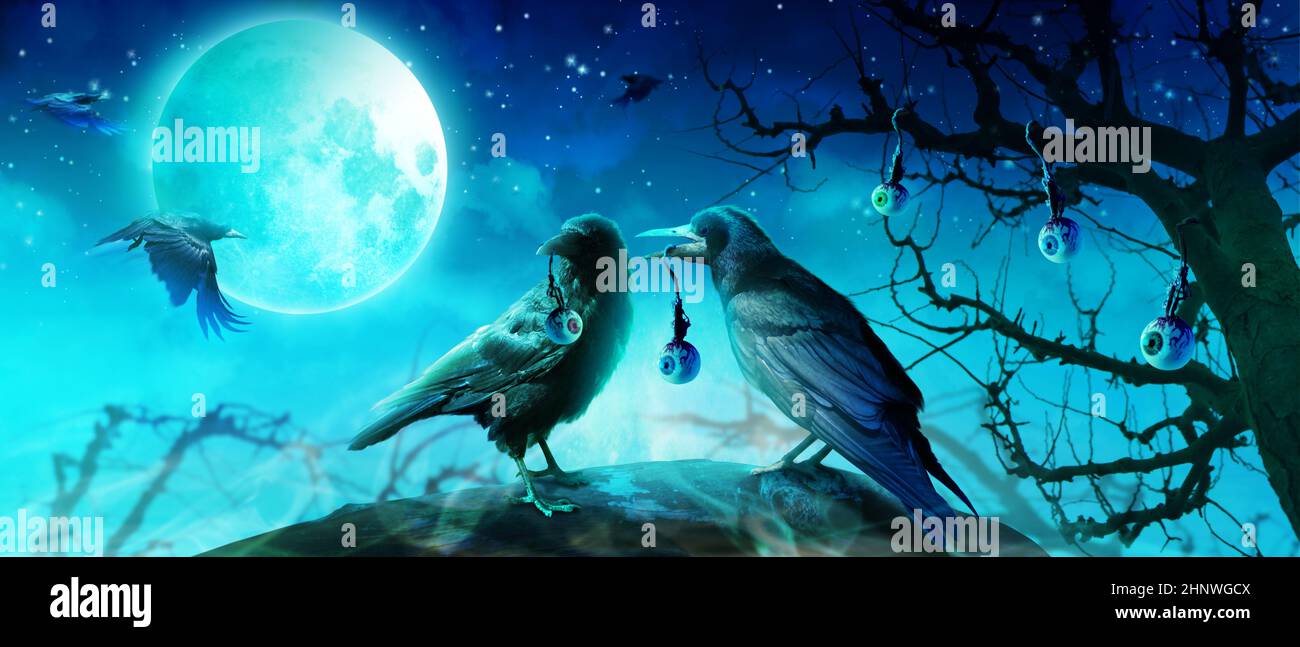 Halloween background with raven in a spooky night Stock Photo - Alamy