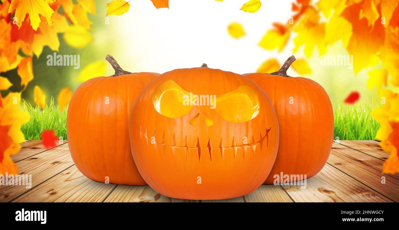 Halloween pumpkin head. Halloween decoration and background Stock Photo ...