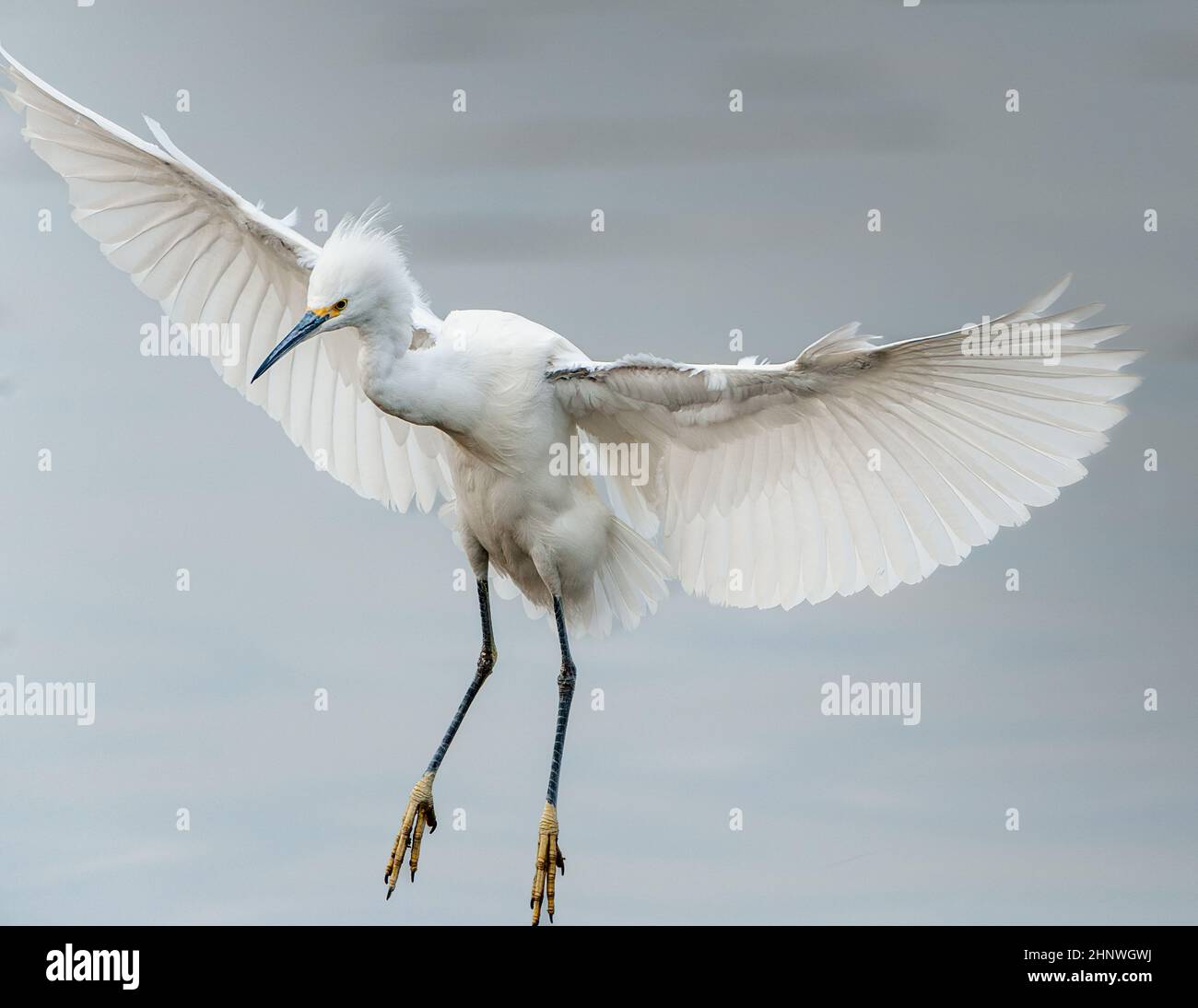 Balboa landing hi-res stock photography and images - Alamy