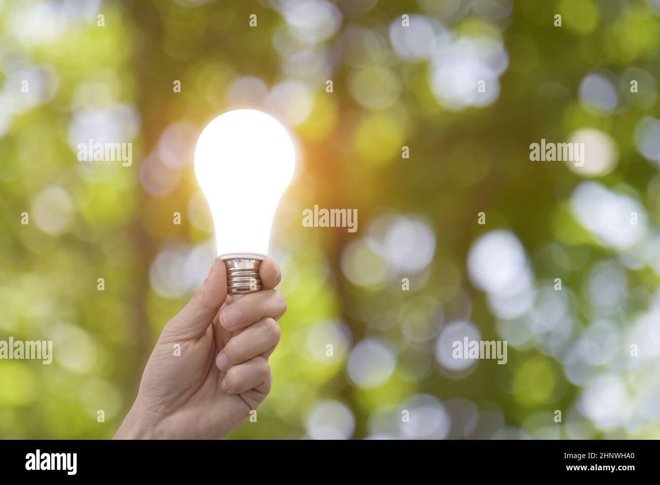 Hand holding lamp bulb on green nature background. Environment friendly ...