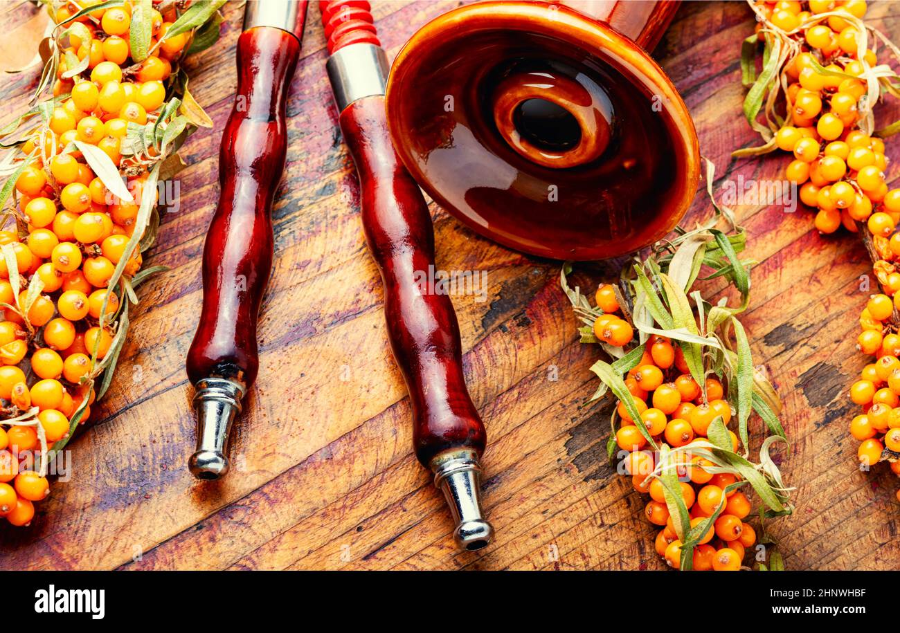 Fresh fragrant shisha of autumn berry.Smoking hookah with sea buckthorn ...