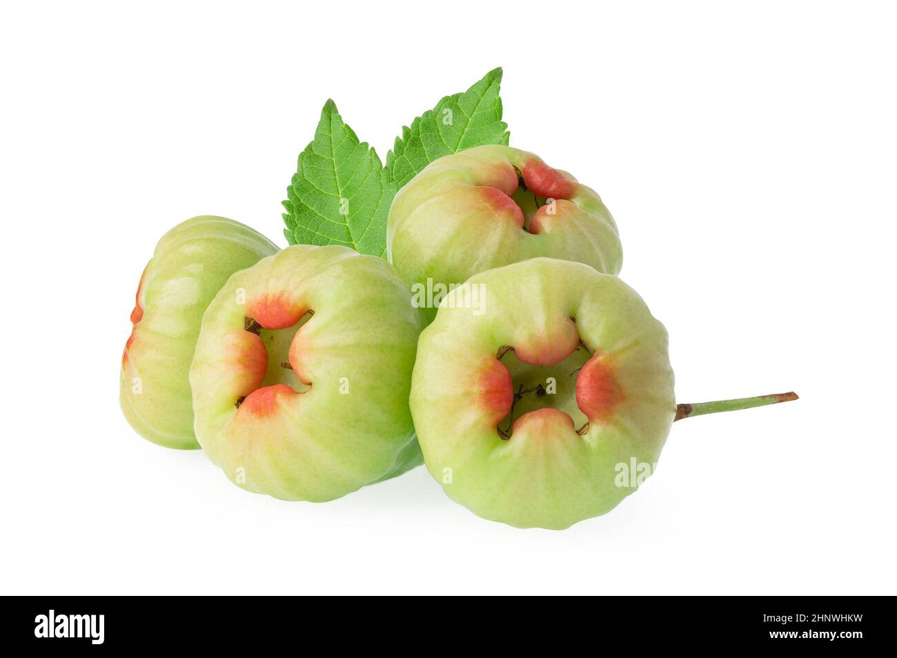 Rose apple, chophu, pink apple eugenia isolated on white background ...