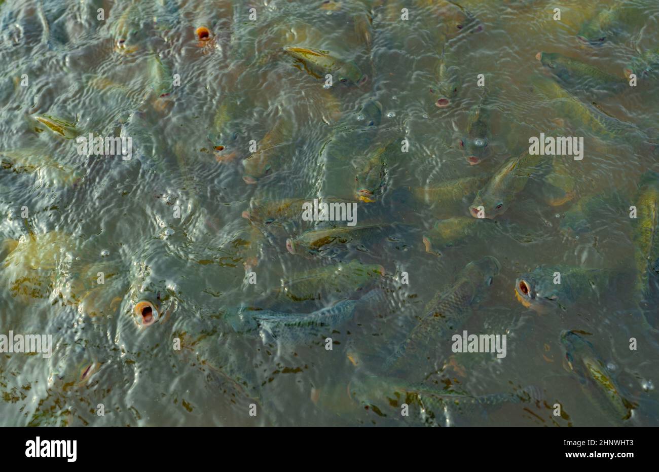 Underwater lake and source hi-res stock photography and images - Alamy