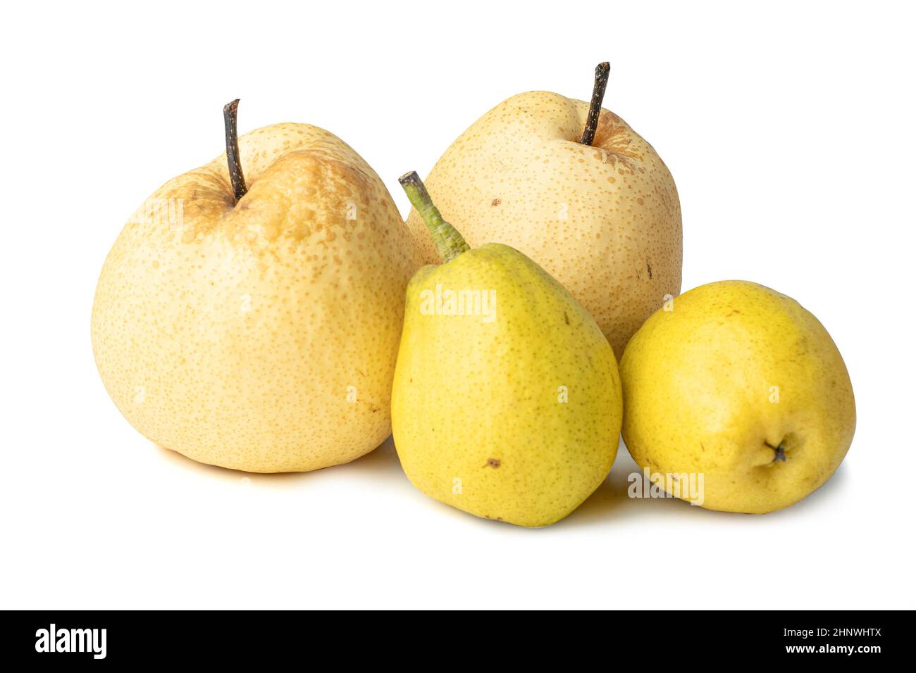 Chinese pear fruit isolated on white background with clipping path ...