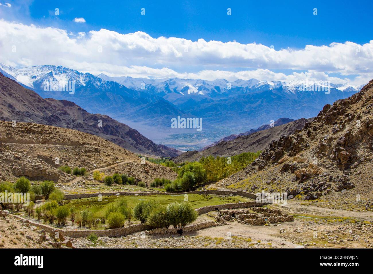 rural landscape with himalaya mountains seen from Leh valley in Ladakh ...