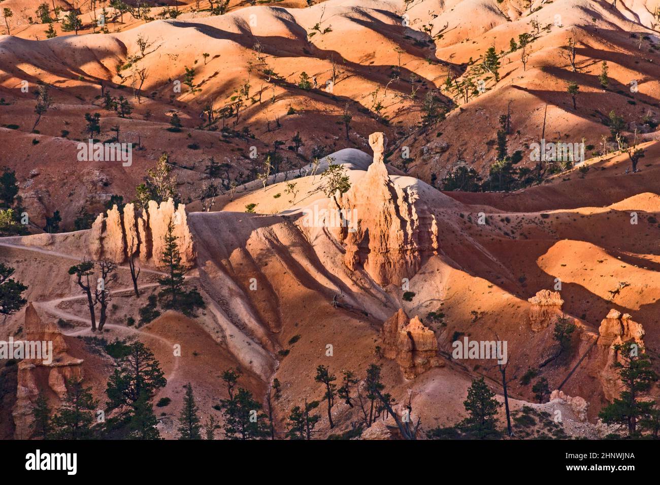 beautiful landscape in Bryce Canyon with magnificent Stone formation ...