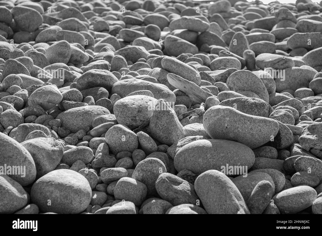Beach bodies Black and White Stock Photos & Images - Alamy