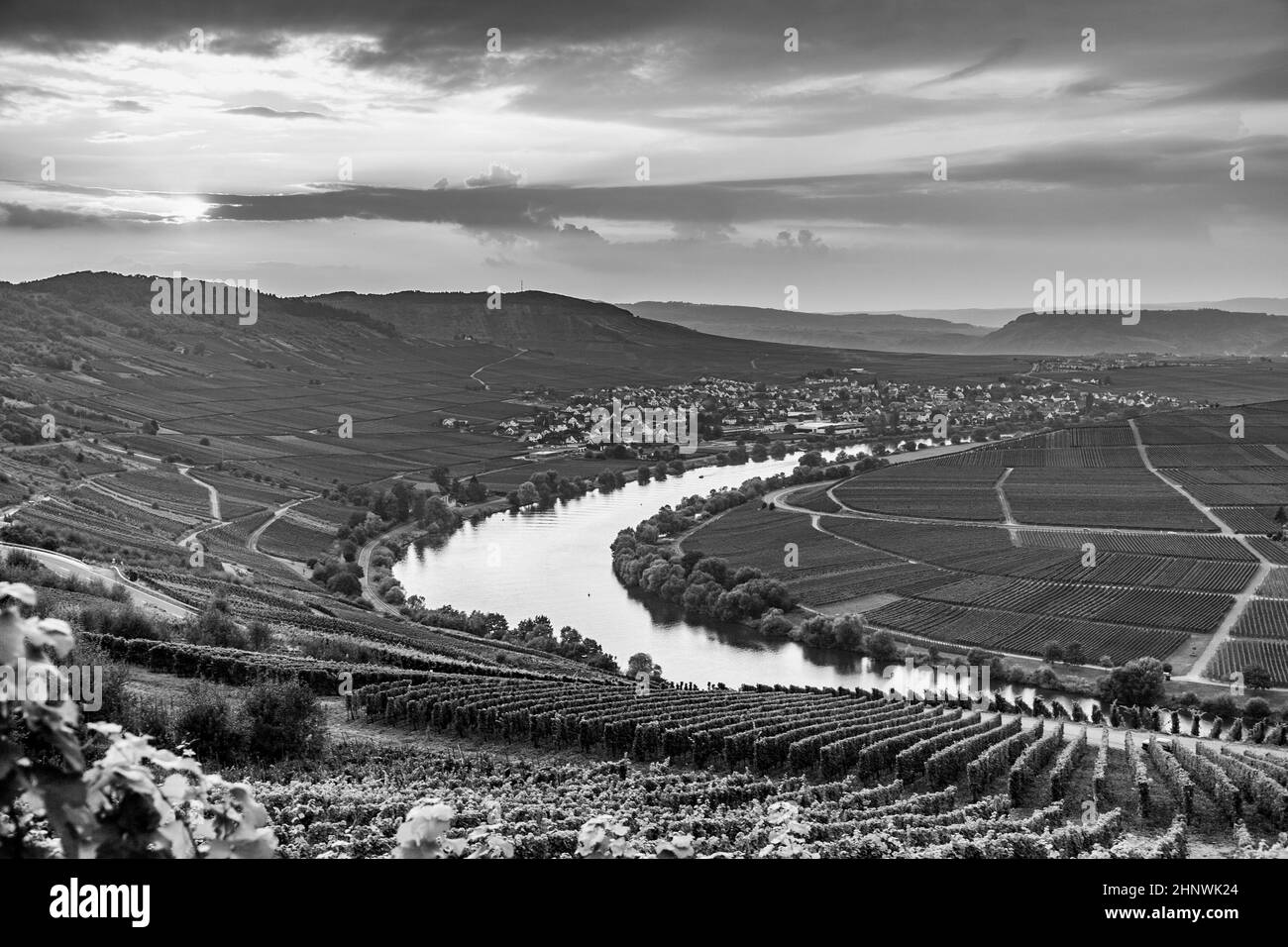 famous Moselle Sinuosity in Trittenheim, germany Stock Photo - Alamy