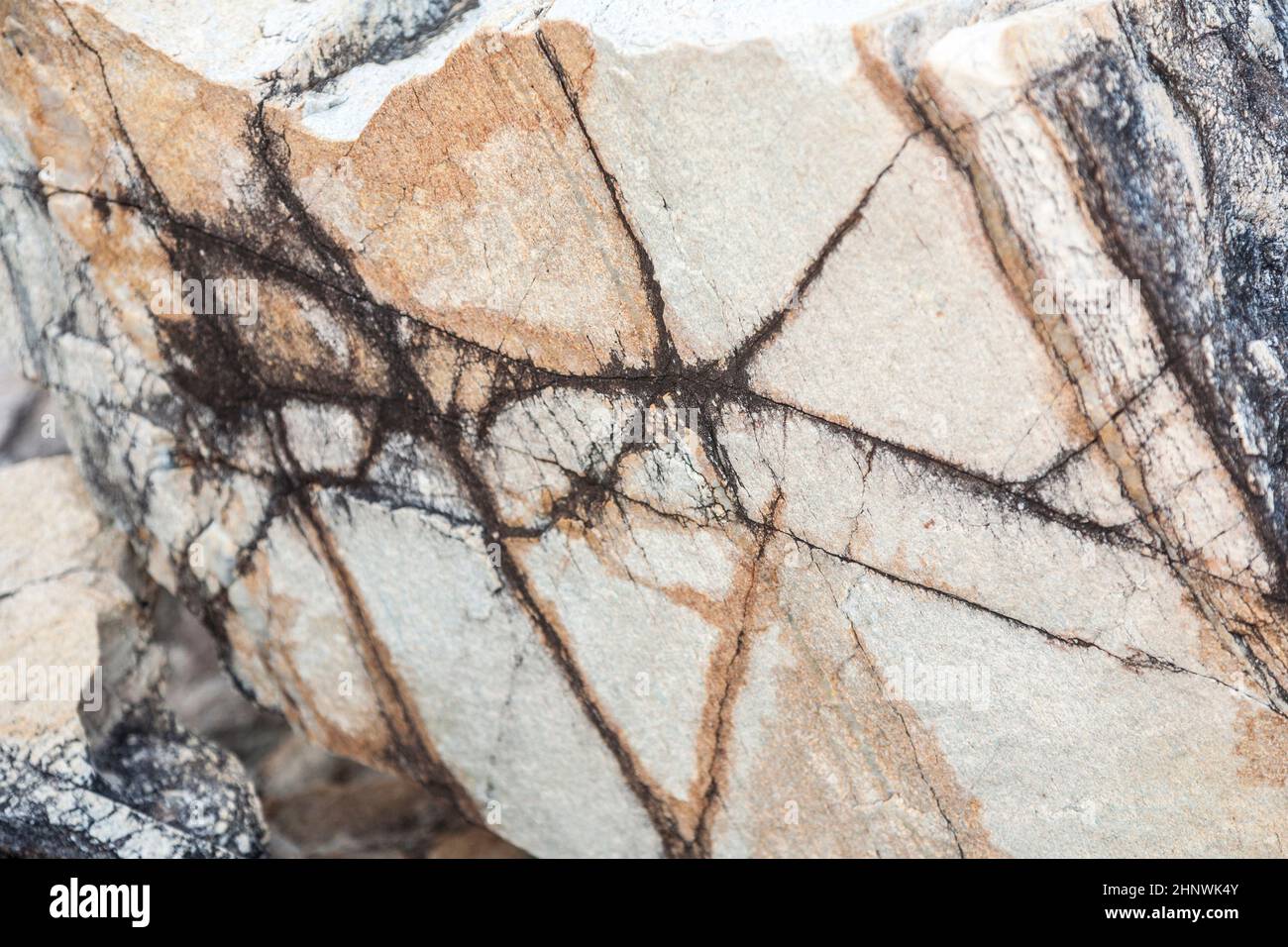 beautiful pattern in Stone at the coast in Thailand Stock Photo - Alamy