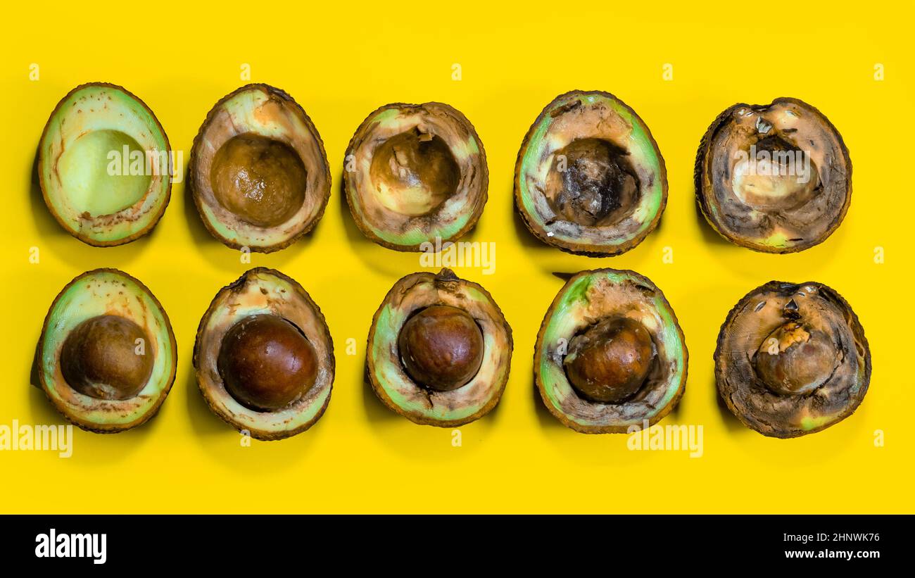 Ugly Avocado on Yellow background. Evolution of Ripening Avocado ...