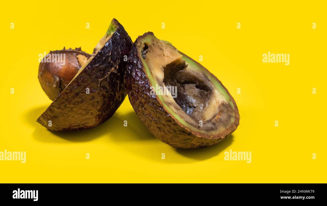 Bad avocado fruits Close up. Ugly fruits on Yellow background. Overripe ...