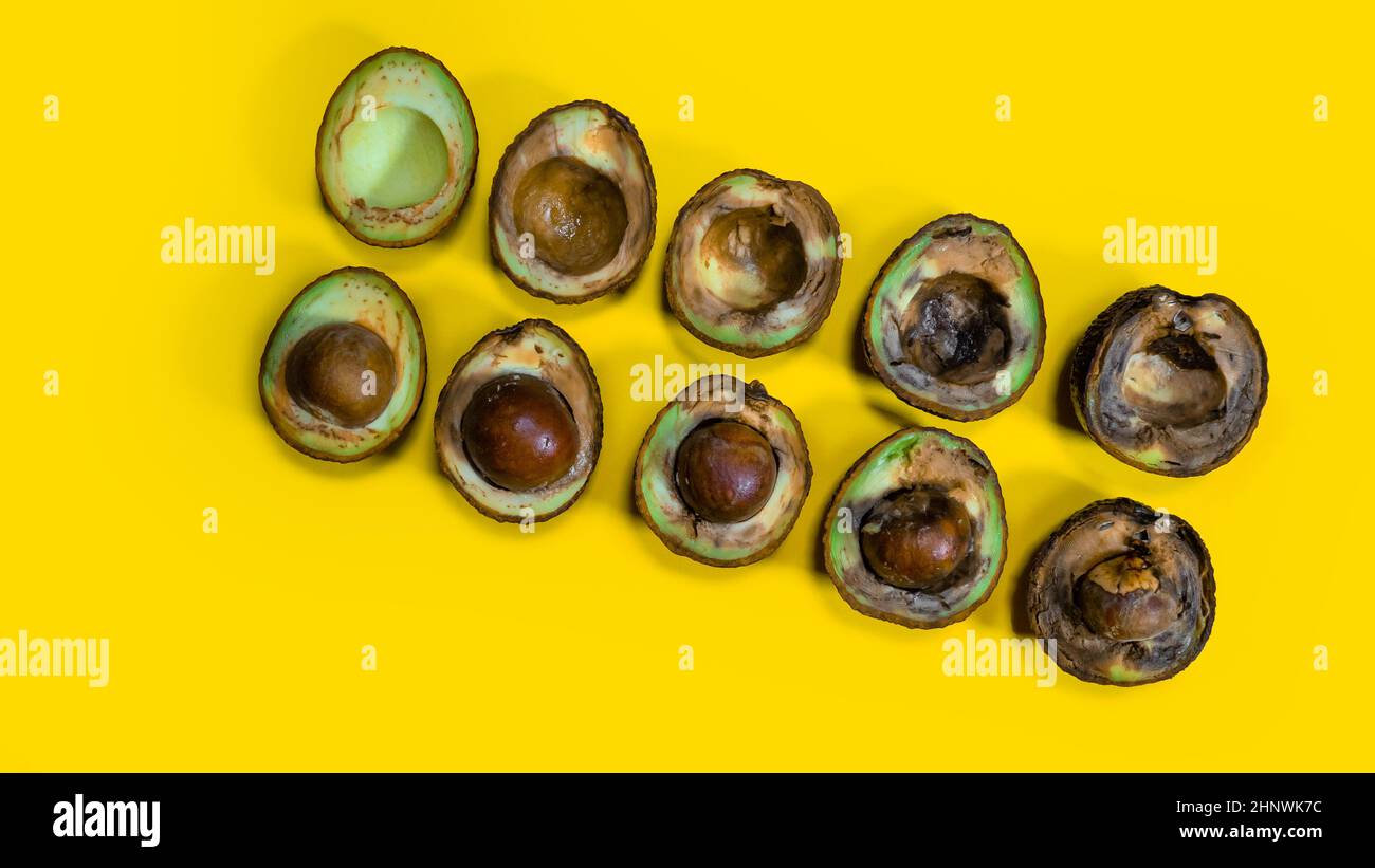 Avocado evolution from good to rotten fruits. Creative composition many ...
