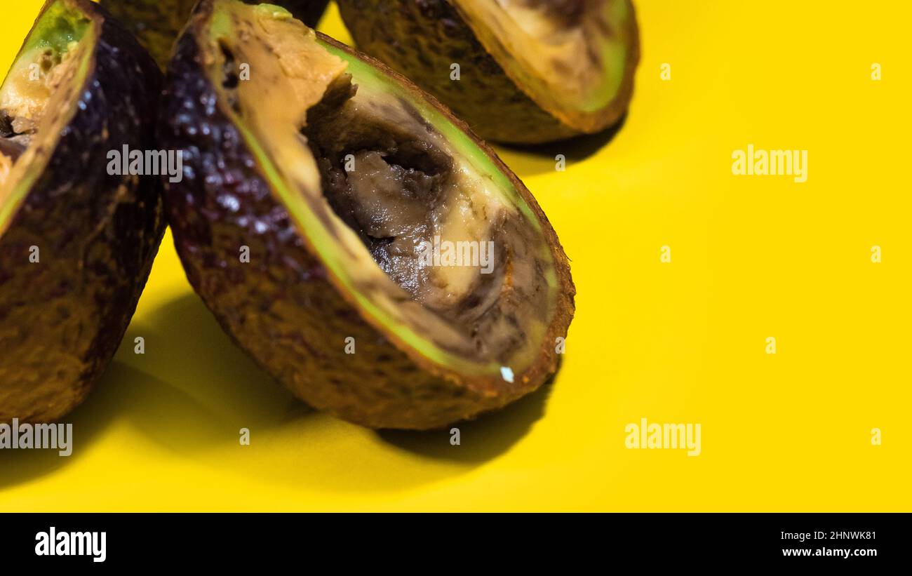 Bad avocado fruits Close up. Ugly fruits on Yellow background. Overripe ...