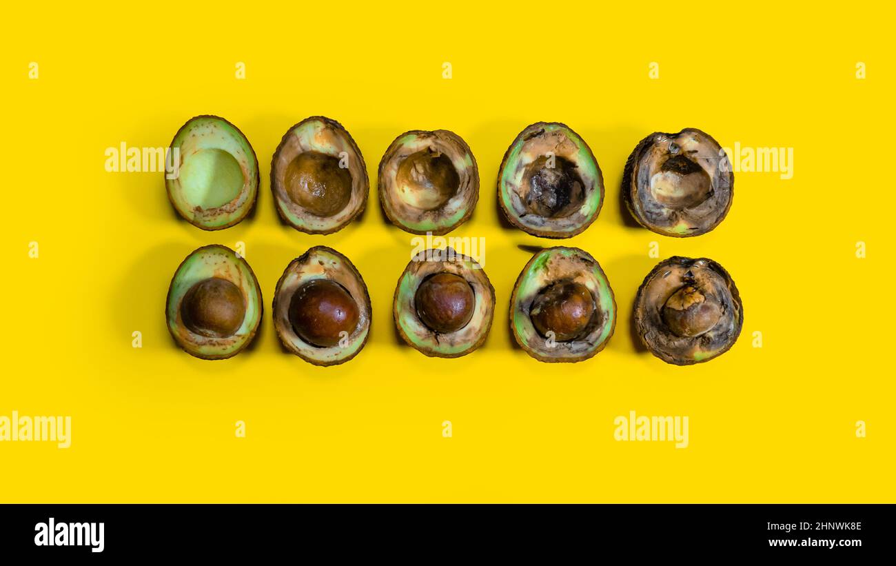 Avocado evolution from Good to Rotten fruits. Creative Composition many ...