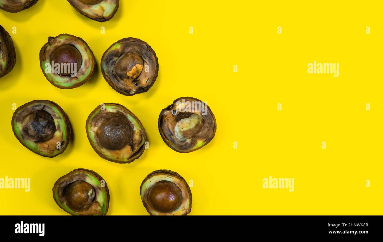 Rotten Avocado halves on Yellow Background. Food Fruits cannot be eaten ...