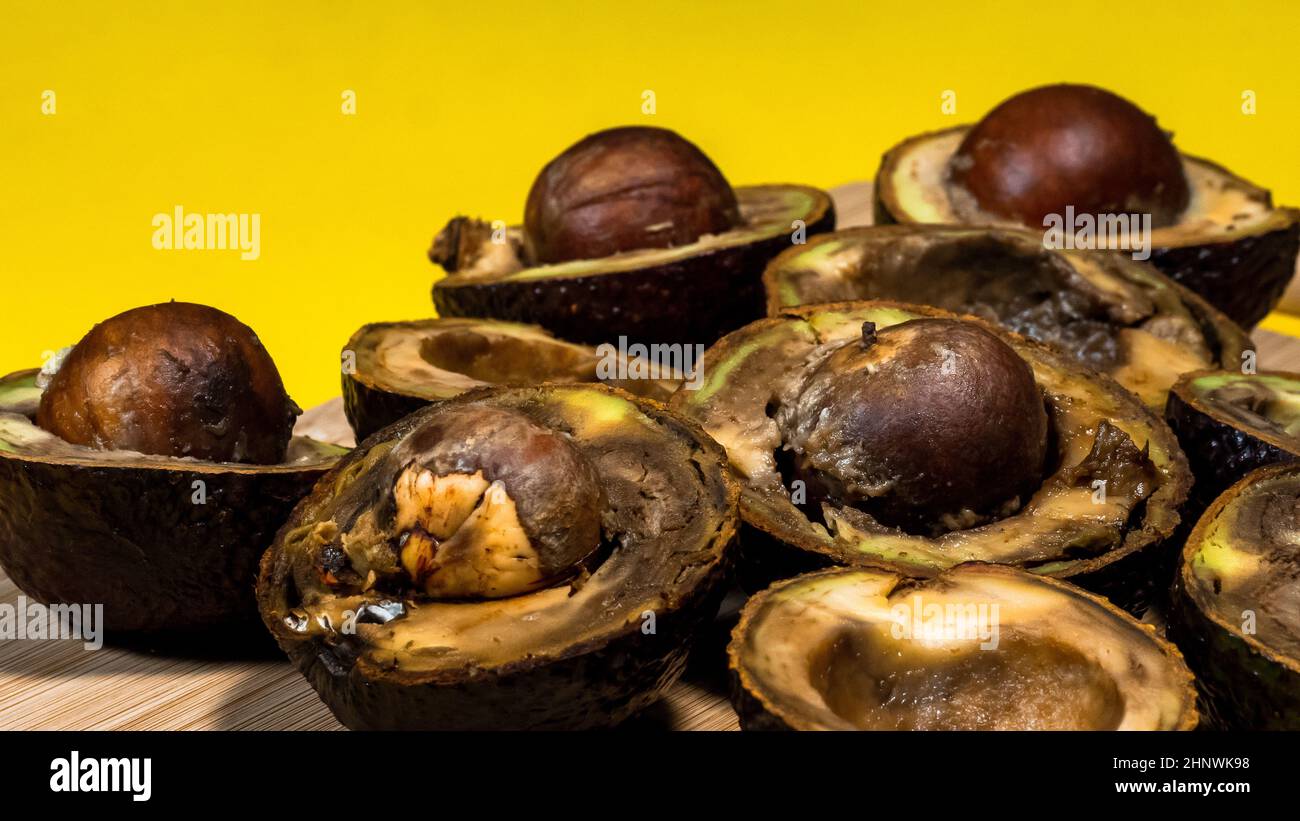 Contaminated tropical fruits. Bad Avocado Half Close up on Yellow ...