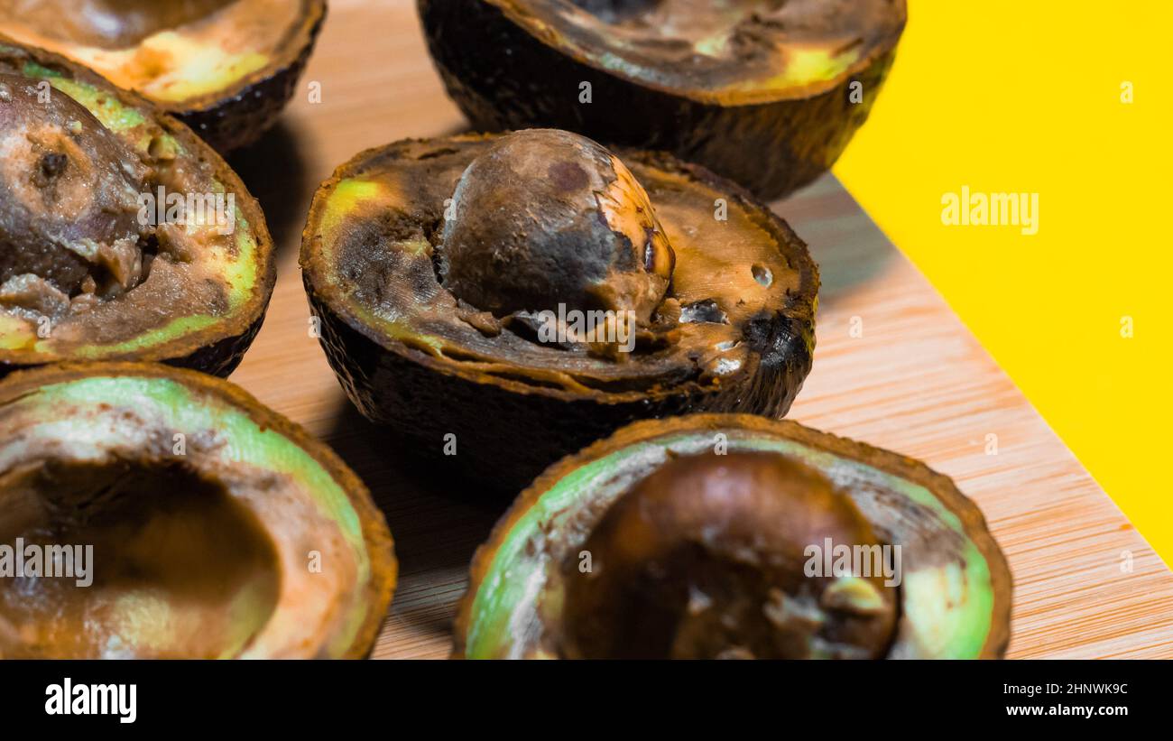 Bad Avocado Close up on Yellow background. Ugly Tropical fruits ...