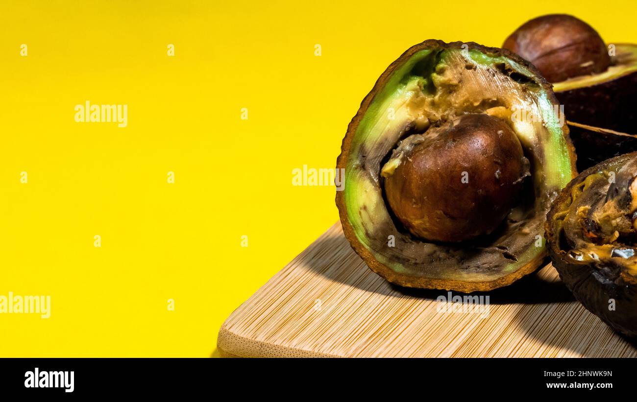 Close up Bad Avocado. Ugly Tropical fruits. Contaminated Avocado halfs ...